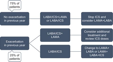 Figure 1 From Overuse Of Inhaled Corticosteroids In Copd Five Questions For Withdrawal In Daily