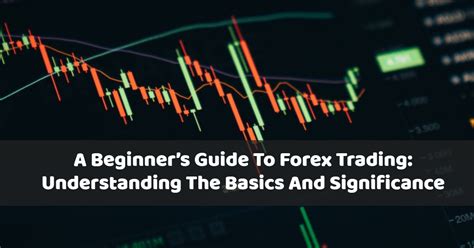 A Beginner S Guide To Forex Trading Understanding The Basics And Significance USA Trading
