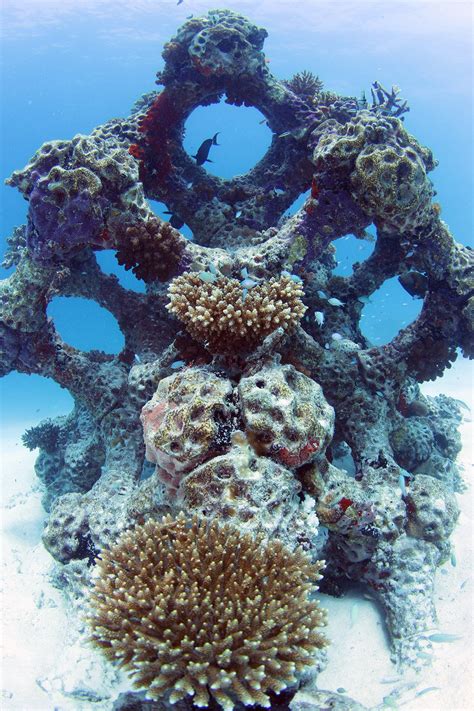Modular Artificial Reef Structure Mars Reef Design Lab