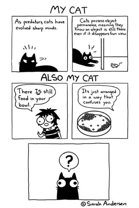 22 Funny Comics By Sarah Andersen Show The Quirky Differences Between