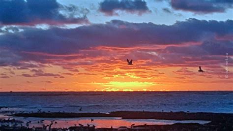 Laac 32 Lancelin Angling And Aquatic Club Inc