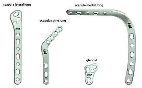 Scapula Plates TST