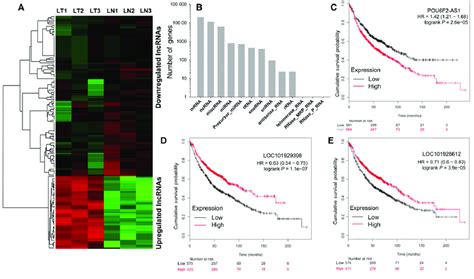 Differentially Expressed Lncrna In Luad Heatmap Of Differentially Download Scientific Diagram