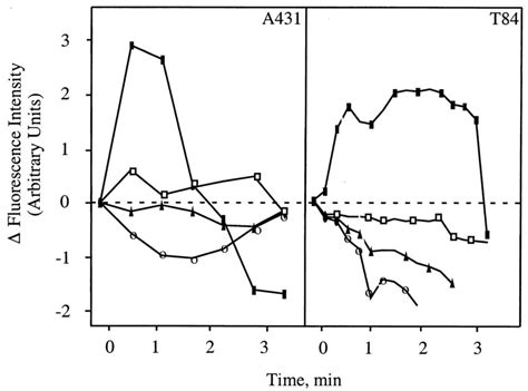 Porin Induced Ca 2 ϩ In Fl Ux Results In Increased Levels Of Plasma