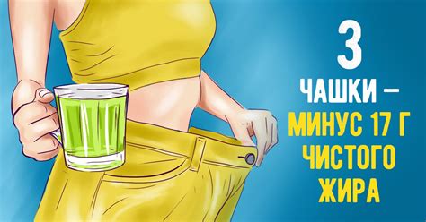 Зеленый чай для похудения Со Вкусом