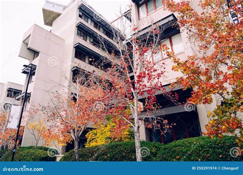 Beautiful Campus Landscape Of University Of California San Diego Ucs