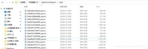 简短的爬虫程序，14行python代码轻松实现爬取网站视频phytho爬网页中的视频 Csdn博客