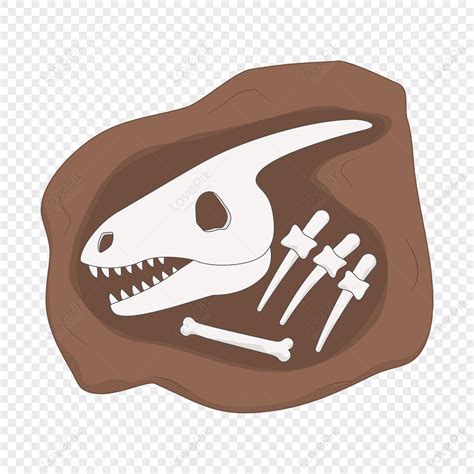 Dinosaur Bone Specimen Images Hd Pictures For Free Vectors Download