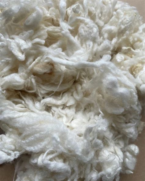 A Naturally Biodegradable Textile Fibre Wool