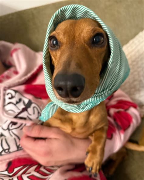 Ruby May Rubymayy • Instagram Photos And Videos