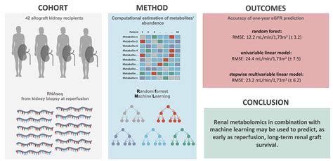 Metabolites Hot Topic Papers Published In 2022 In The “integrative Metabolomics” Section