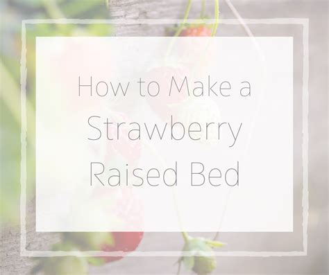 How To Make A Strawberry Raised Bed Hope And Wildflowers