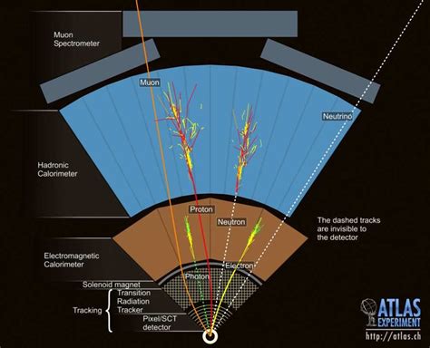 4 Schematic View Of The Layers Of The Atlas Detector Also Showing A Download Scientific