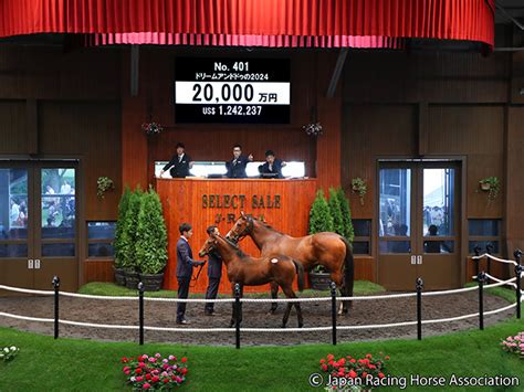 【セレクトセール2024】ドリームアンドドゥの2024は2億円 ロデオジャパンが落札 競馬ニュース Netkeiba