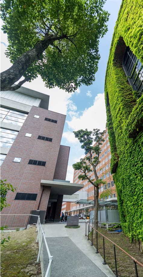 初期臨床研修医科臨床研修医募集概要 近畿大学病院臨床研修医募集