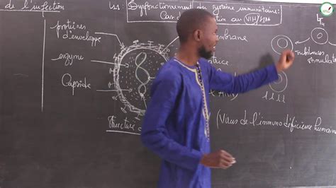Cours Troisième SVT Le dysfonctionnement du système immunitaire