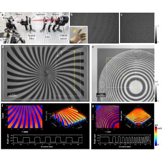 PDF Iterative Projection Meets Sparsity Regularization Towards