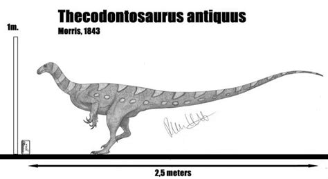 Explore The Best Thecodontosaurus Art Deviantart
