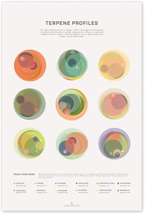 Terpene Profile Illustration Poster Illuminating The