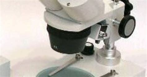 Btc Stm 3c True Stereo Microscope 20x 40x With Dual Illumination Btc Stm3c24