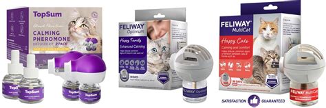 Cat Diffuser Review 5 Best Products For A Relaxed Cat Home Animalspick