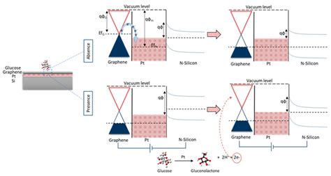 Nanomaterials Free Full Text Emerging Two Dimensional Materials