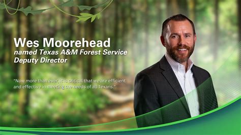 Wes Moorehead Named Texas Aandm Forest Service Deputy Director Texas Forest Country Living