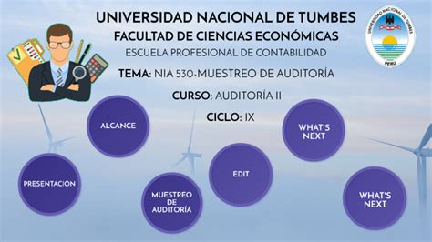 NIA MUESTREO DE AUDITORÍA by Ignacio Guerra Nunura on Prezi