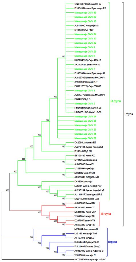 Dendrogram Based On The Differences In The Sequence Of Core Protein