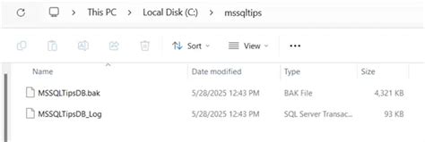 Sql Server Transaction Log