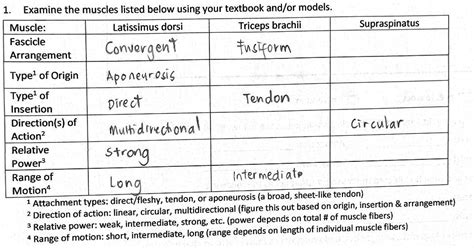 SOLVED Examine The Muscles Listed Below Using Your Textbook And Or