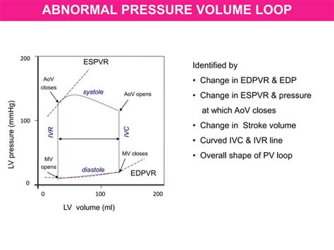 Ventricular Pv Loop 2019 Pptx Heart And Cardiovascular Diseases