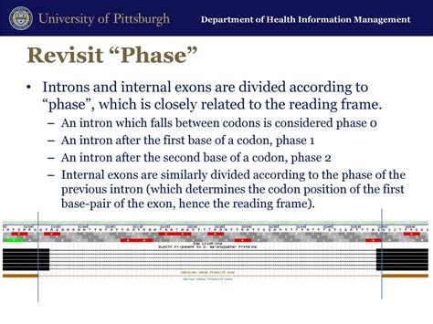 Genomics And Personalized Care In Health Systems Lecture 7 Gene Finding