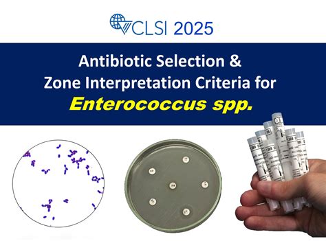 Clsi 2025 Antibiotic Selection And Zone Interpretation Criteria For