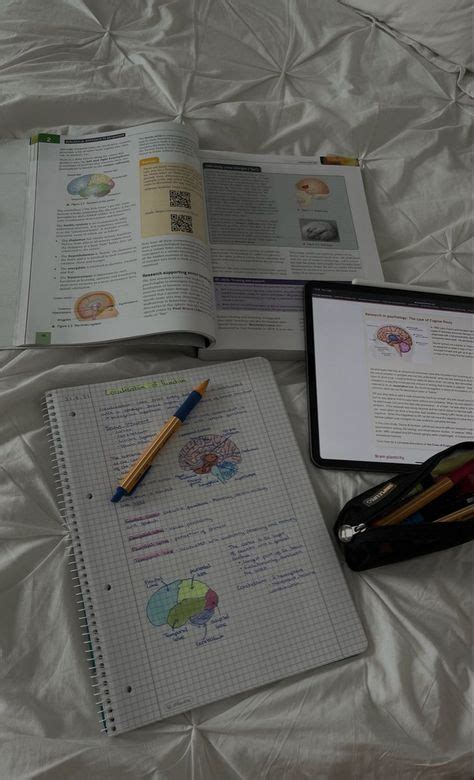Process Of Meiosis Breakdown Meiosis Vs Mitosis Study Guide Science