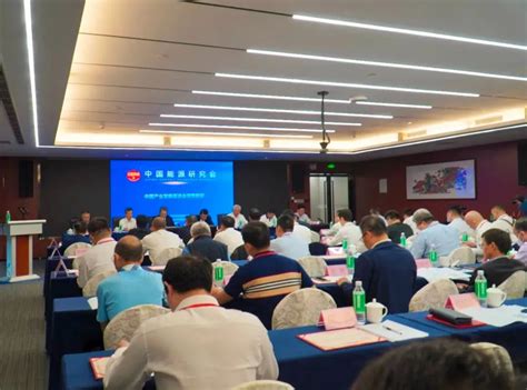 中国能源研究会绿色低碳技术专委会正式成立手机新浪网