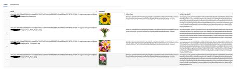 image data sets with databricks notebooks databricks sql and power bi au