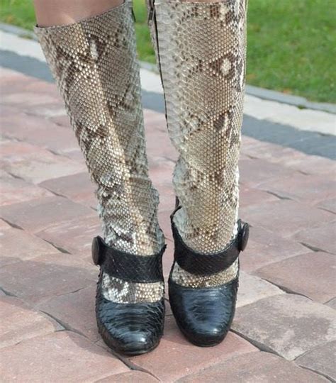 Python Style Python Style Added A New Photo