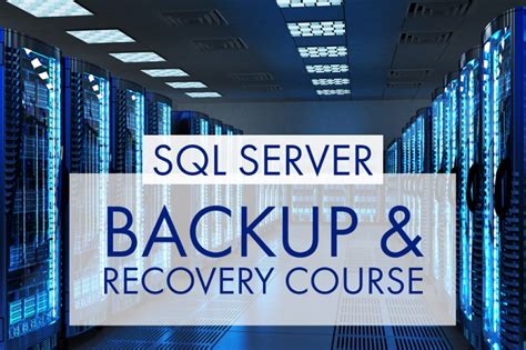 tổng hợp 4 cách export database sql server chi tiết 2024