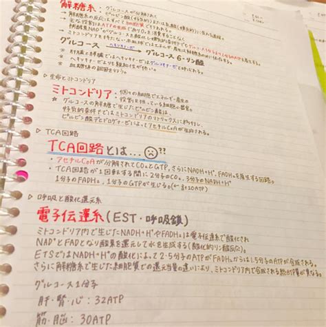 《授業ノートを綺麗に書く方法》をご紹介成績アップのために、まずはココから！！ Emmary（エマリー） By Teamcinderella