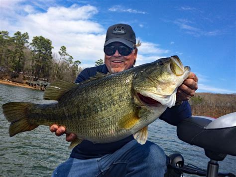 Chickamauga Big Bass Just Shy Of New State Record Wtvc