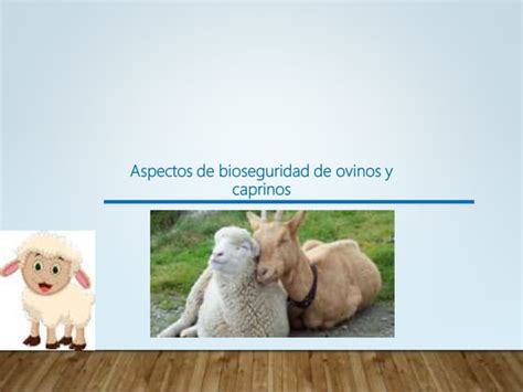 Bioseguridad En Ovinos Y Caprinospptx