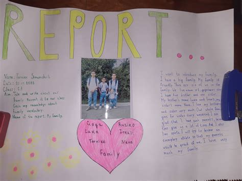 სალომე ჯარიაშვილის პორტფოლიო კომპლექსური დავალების პროდუქტები 6ა კლასი 2022წ