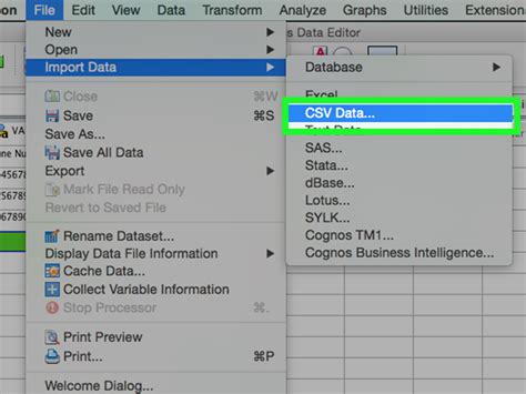 Spss Spreadsheet Throughout How To Enter Data In Spss 8 Steps With