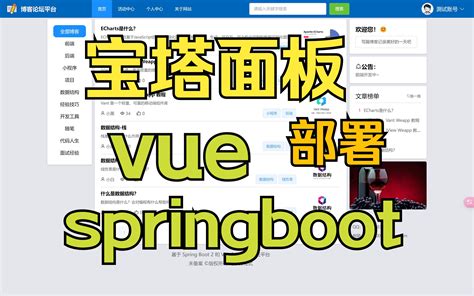 宝塔面板 部署 spring boot 和 vue 教程 空白米塔 开发 哔哩哔哩视频