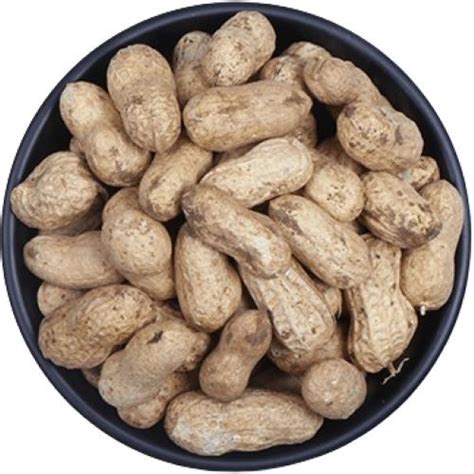 Ground Nut Size 2428 Brown Color Premium Quality Natural Flavor