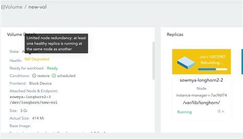 Bug Tool Tip On A Degraded Volume Suggests Incorrectly That One