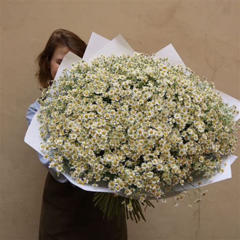 Ромашковое поле - купить в СПБ с доставкой в Kraft Flowers