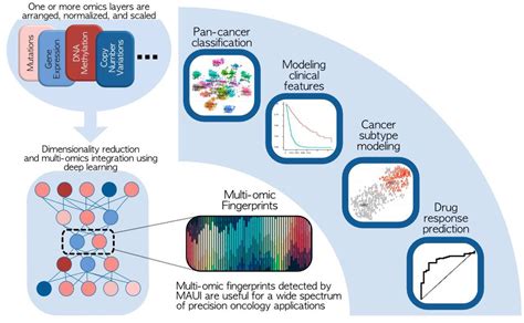 figure 1 from automated single and multi breast tumor