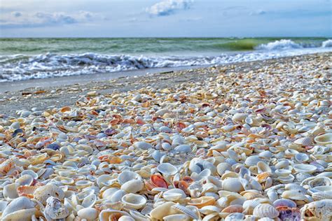 What Beaches Have Seashells